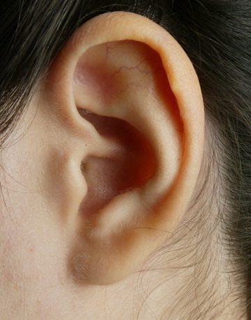 As dicas do Terapeuta: Notícias