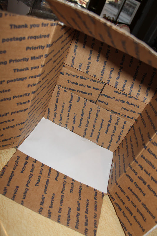 Great Scott: HOW TO MAKE A PINHOLE BOX TO VIEW THE SOLAR ECLIPSE