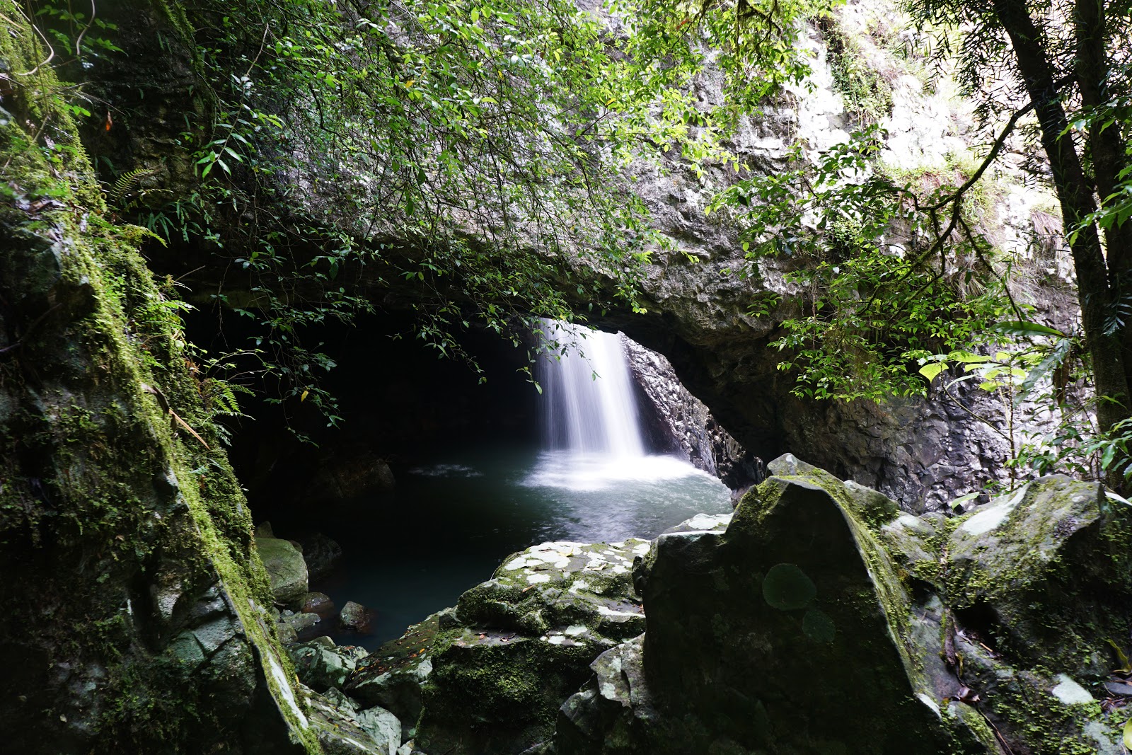 Twin Falls Circuit (Springbrook National Park) ~ The Long Way's Better