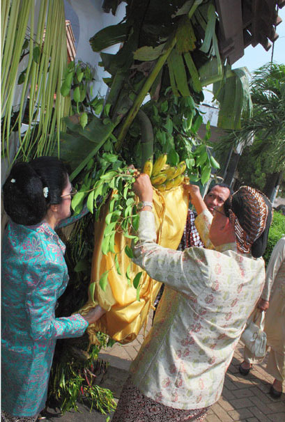 Tarub, simbol harapan orangtua untuk anak | Undangan Pro