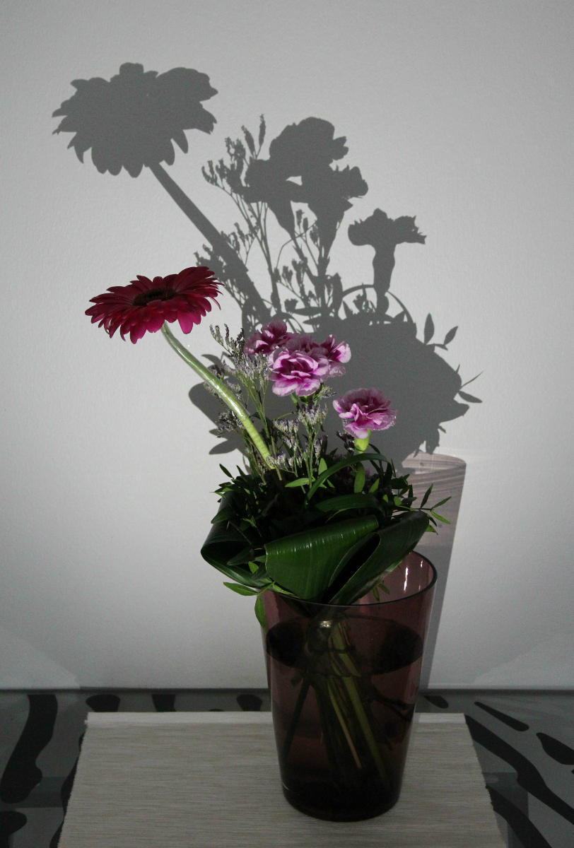 LENS and COVER - PHOTOGRAPHY: Flowers and Shadow