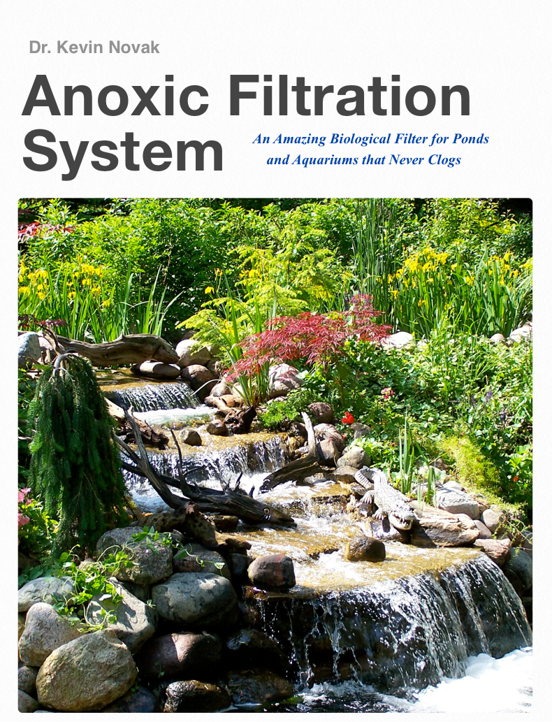 Anoxic Filtration System: NO3 Removal and the Anoxic Filter.