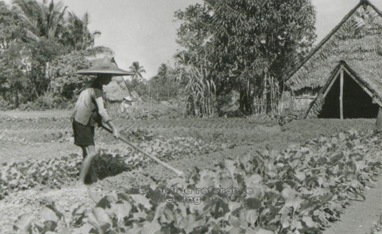 Blog To Express: Ways Done in the Past - Rural Farming