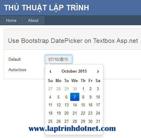 Datepicker Using Bootstrap in ASP.Net - lập trình đốt nét