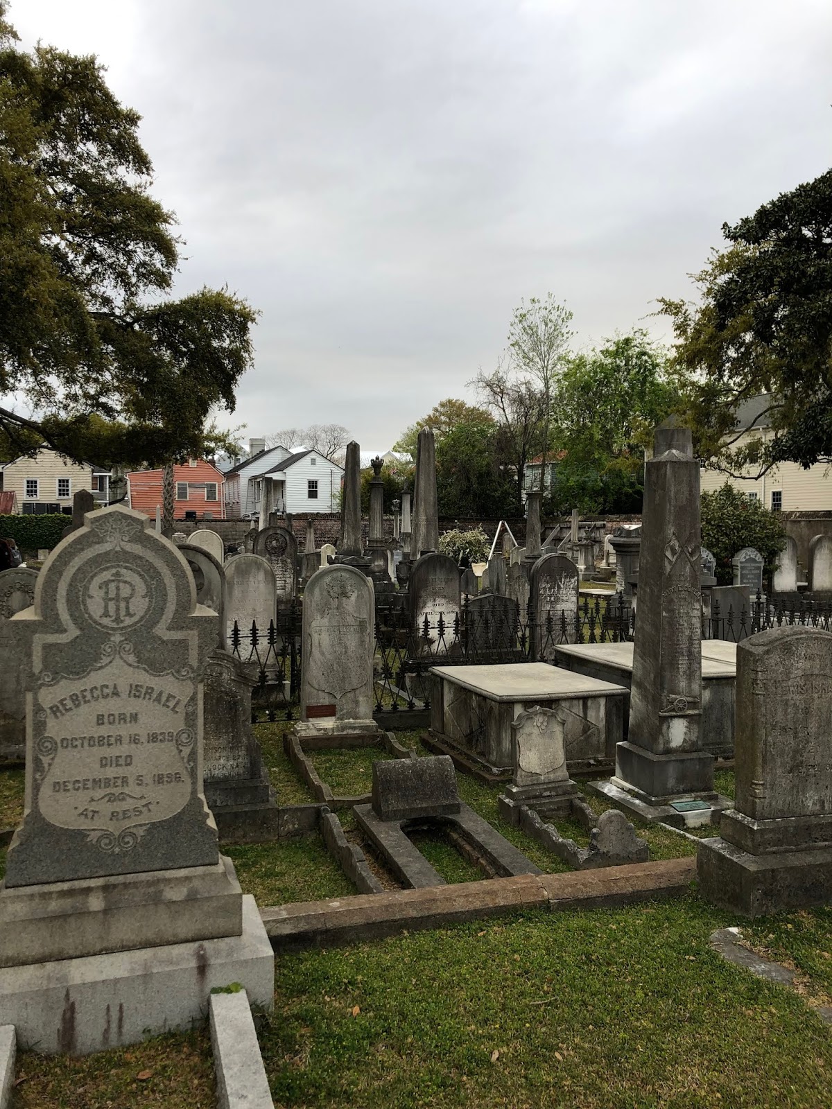 The Loved and The Lost