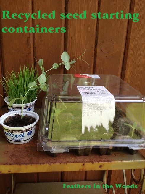 8 Recycled seed starter containers from single use plastic - Feathers ...