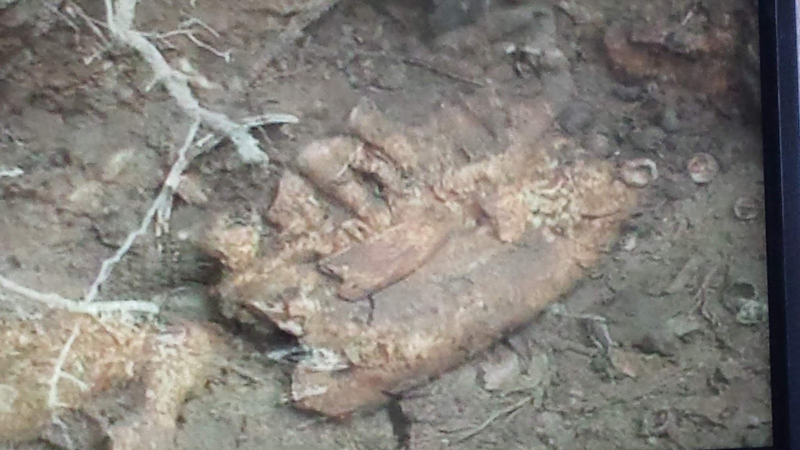 What Happened to the Giant Skeleton That Was Dug Up?