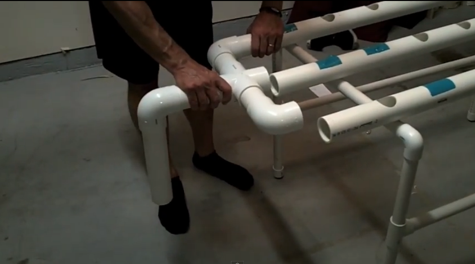 Hydroponic Passion: DIY NFT System