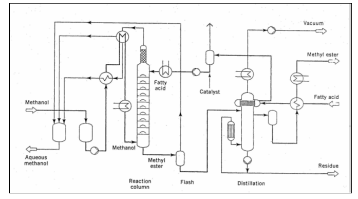 Metil Ester - handikaseptian