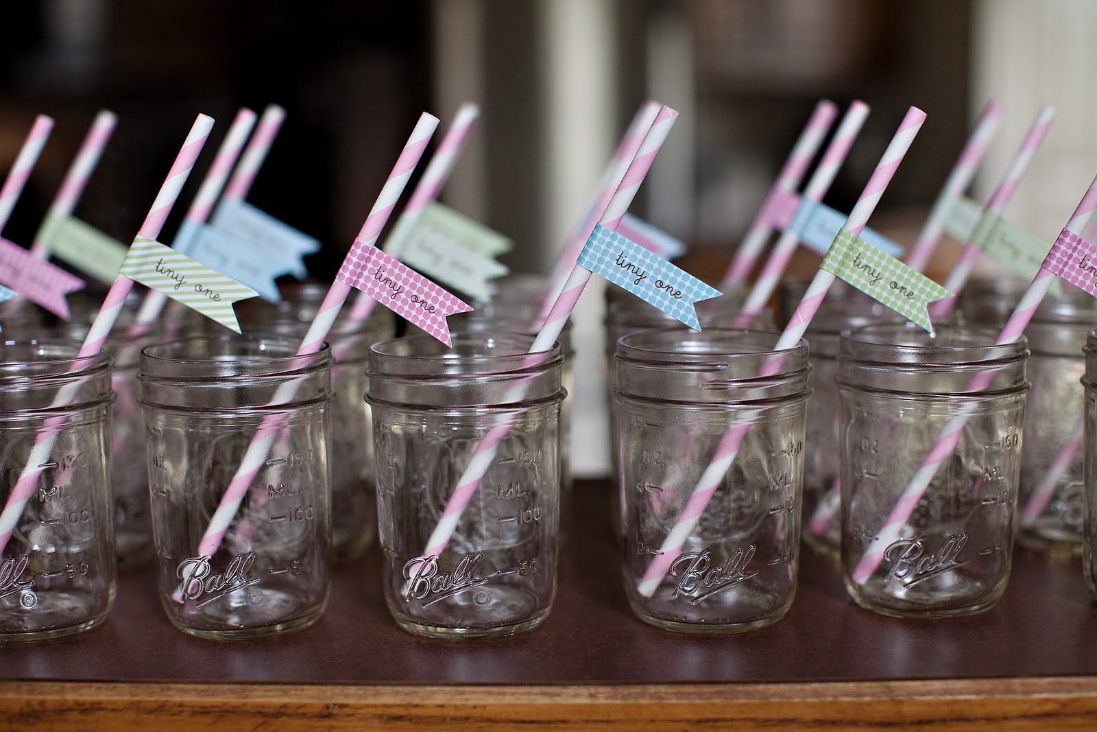 Kara's Party Ideas Tiny Themed1st Birthday Party | Kara's Party Ideas