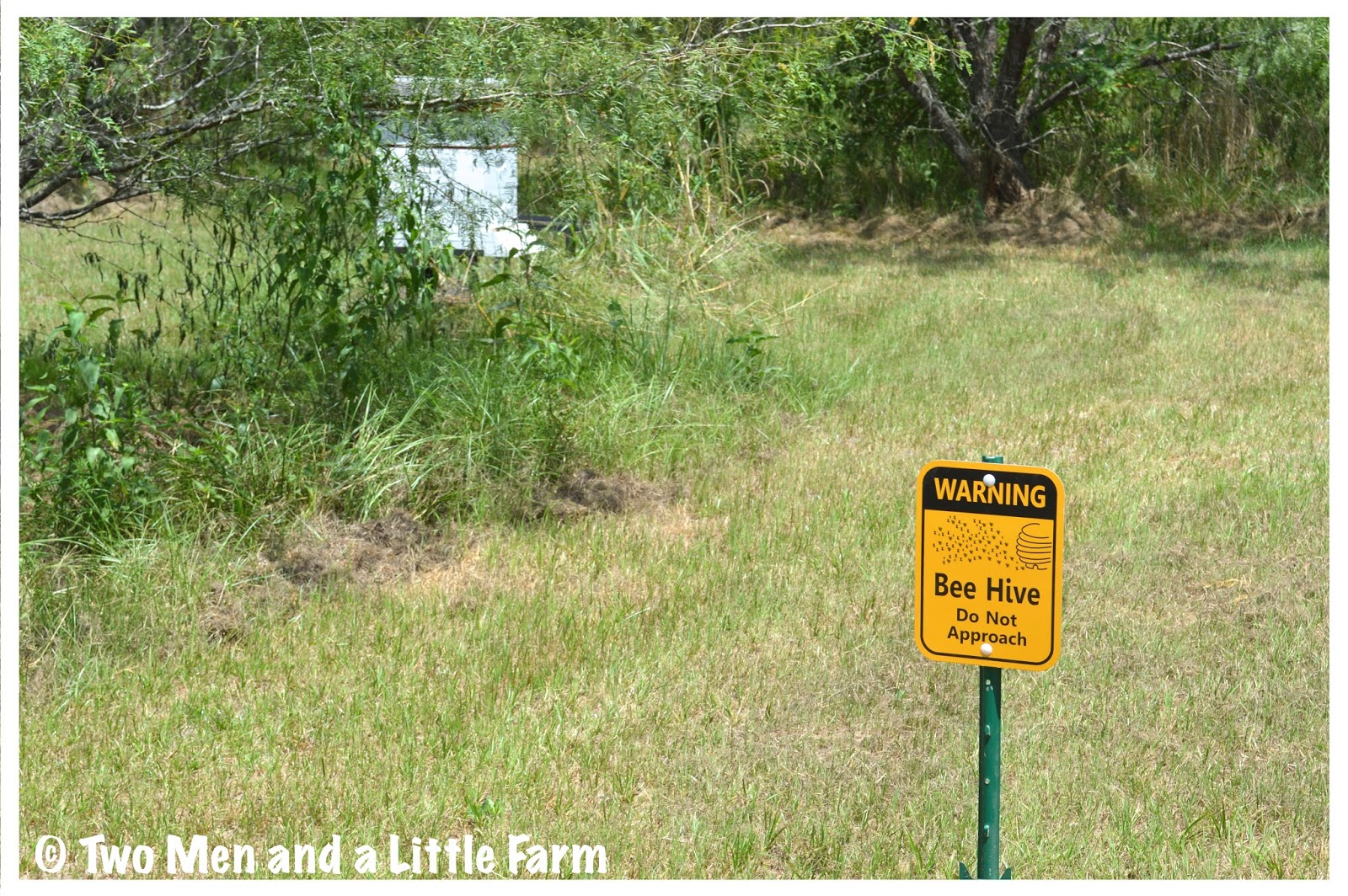 Two Men and a Little Farm: BEEHIVE WARNING SIGN