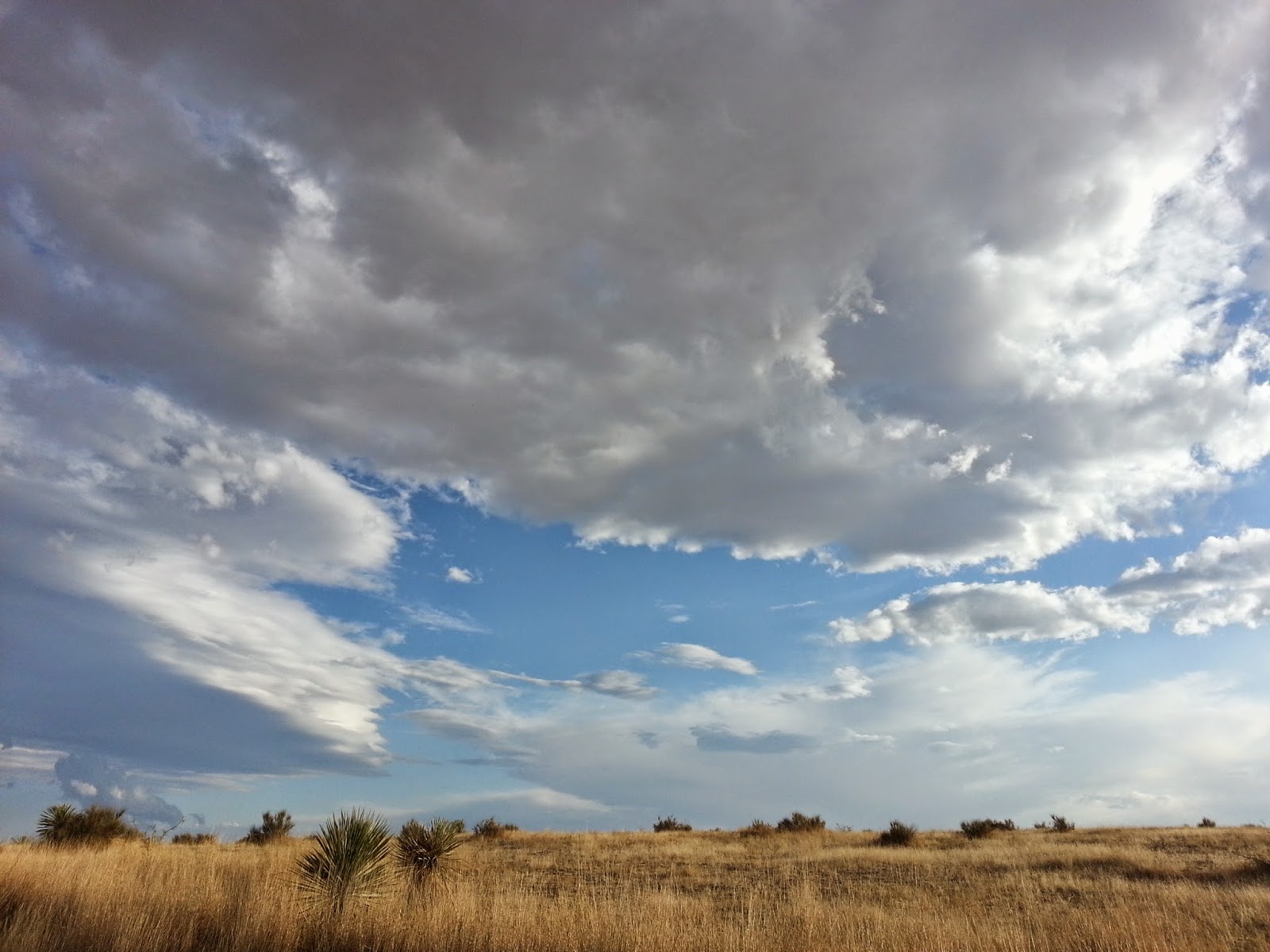 Texas Mountain Trail Daily Photo: Last Night's Sky north of Marfa