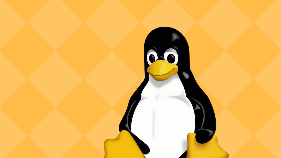 Cut Command In Unix Linux Examples Lpi Central