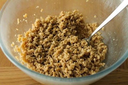 maple•spice: Homemade Frozen Soya Mince
