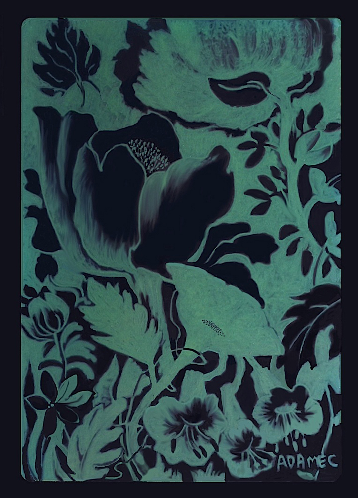 ART by CAROL ADAMEC: Boogie Board Drawing #7