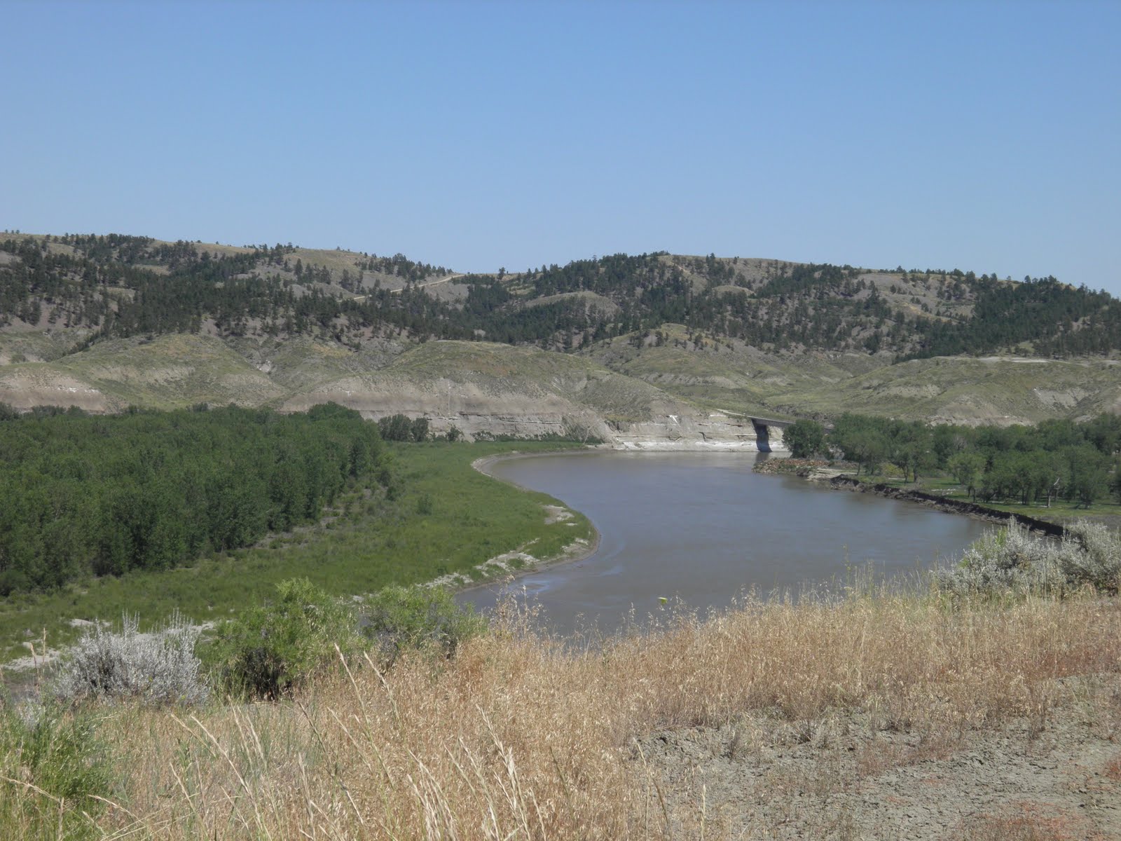 Through the Eyes of a Montana Farm Wife