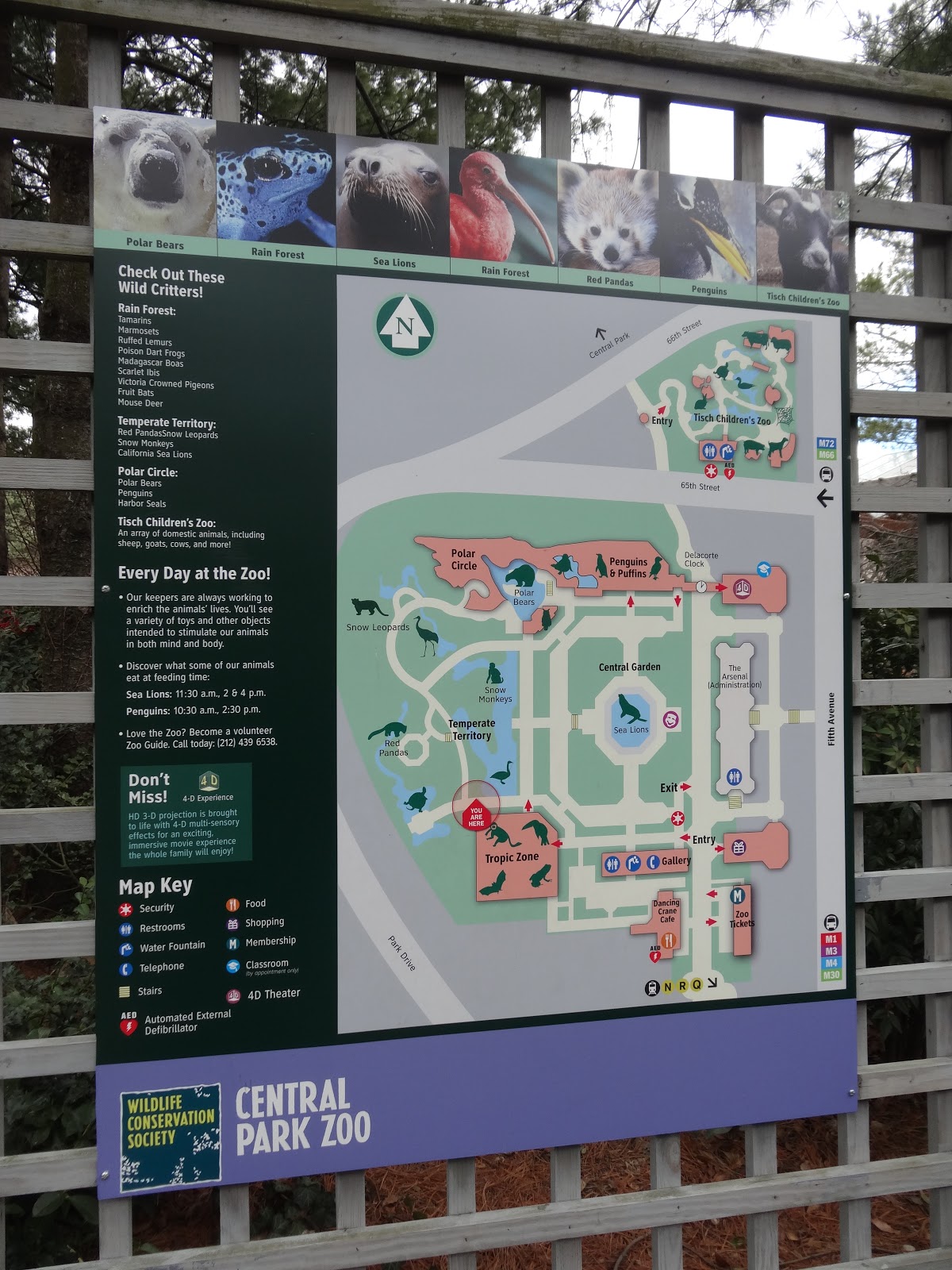 Stu @ the Zoo: Central Park Zoo - New York City