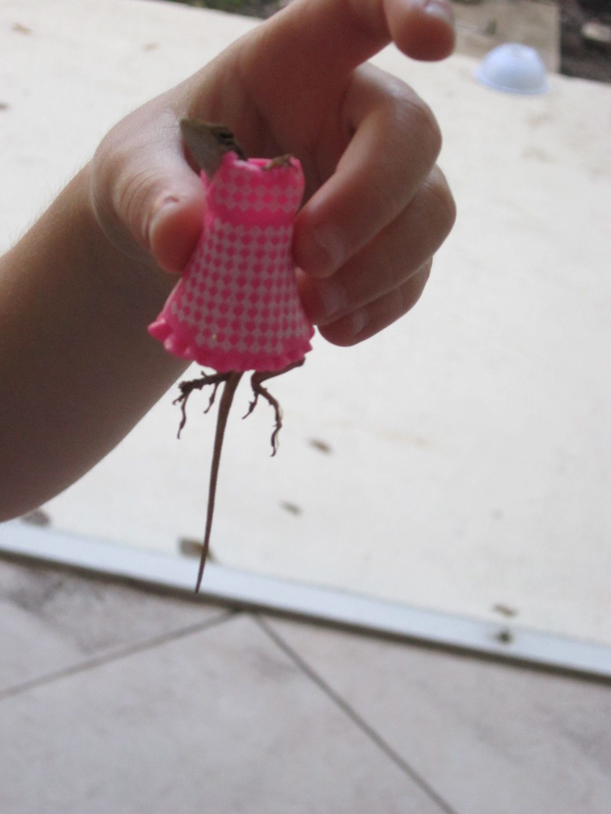 Our Hope Is In The Lord: Polly Pocket Lizard