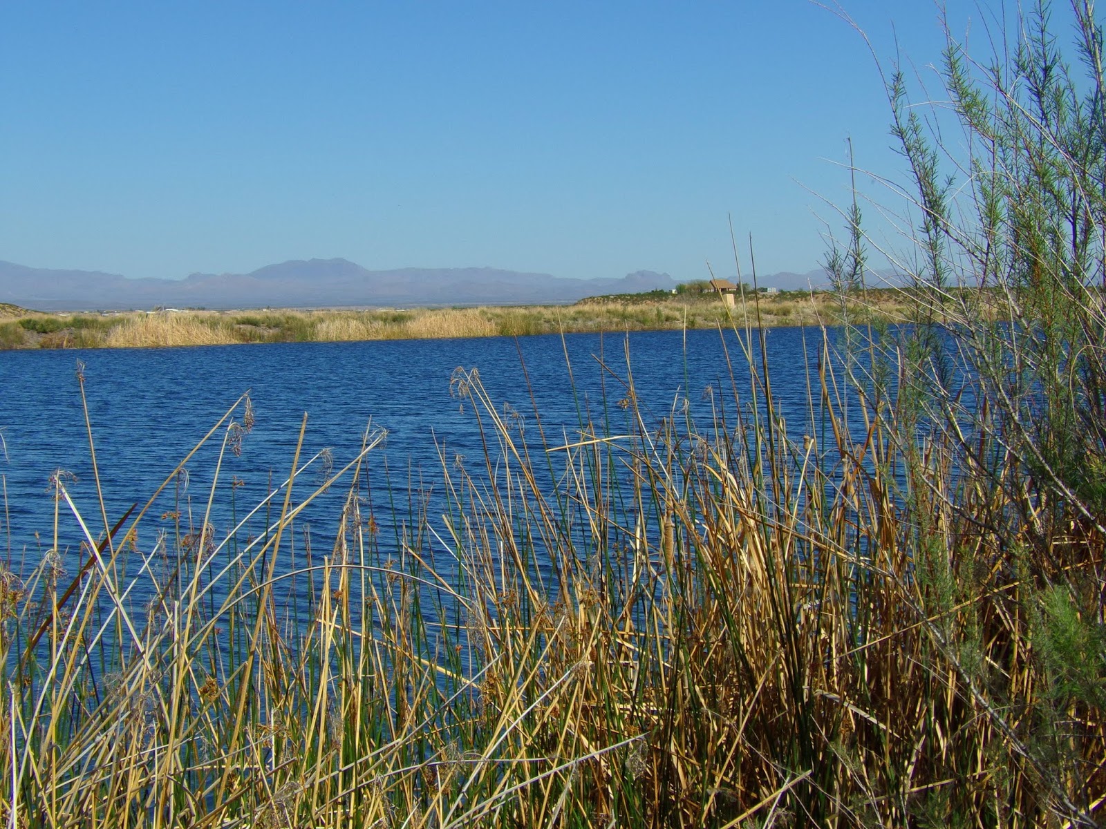 Roper Lake State Park - Dankworth Village, Arizona