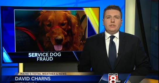 Wounded Times: Maine Veterans Plead For Help With Fake Service Dogs