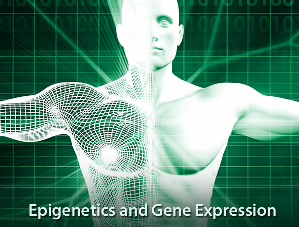 Epigenetics and Gene Expression
