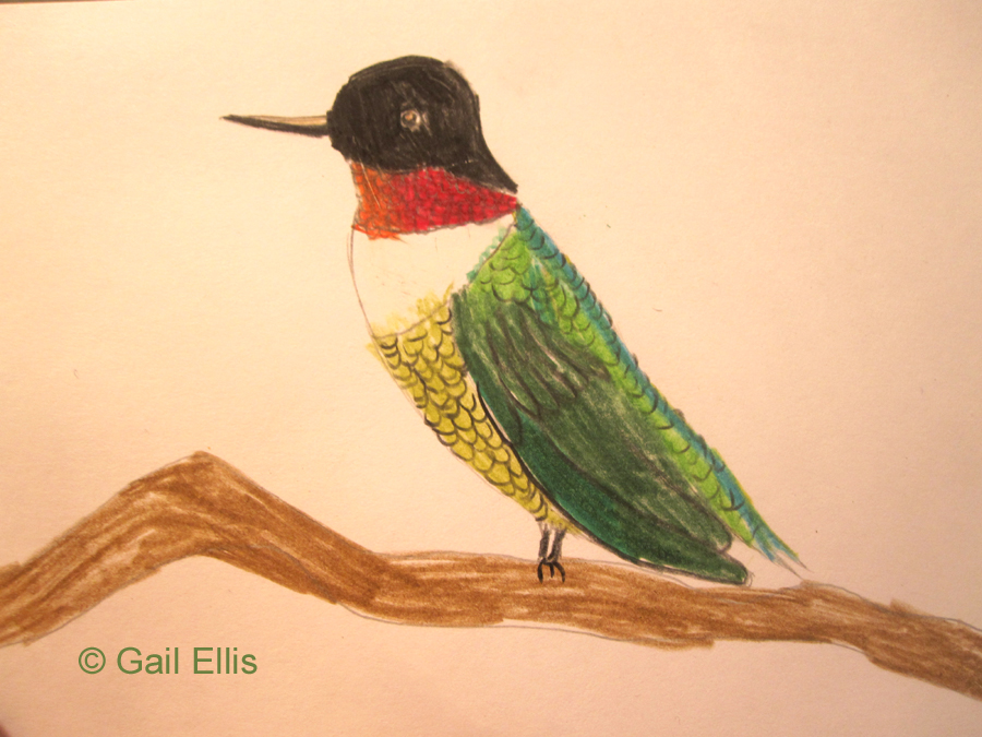 Vickie Henderson Art: Swarming Hummingbirds Inspire Art