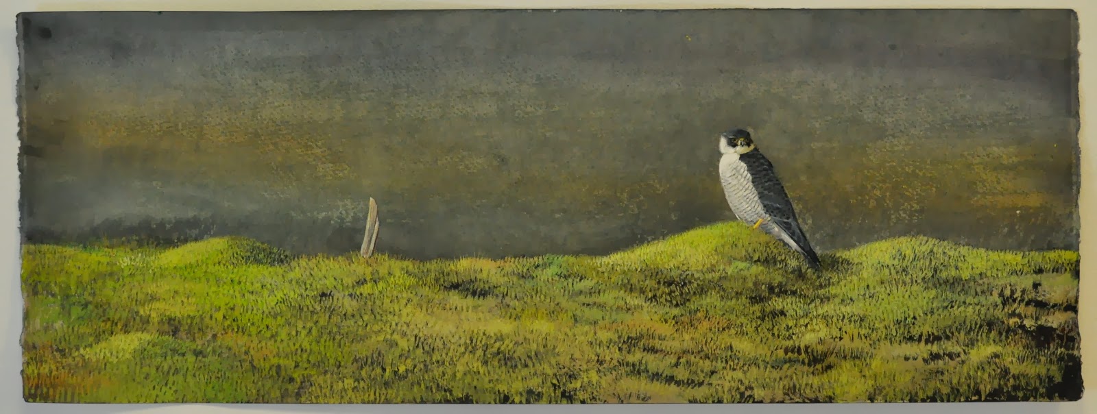 CARL CHRISTIAN TOFTE BLOG: ÅRETS FØRSTE TRANE ER ANKOMMET TIL PULKEN