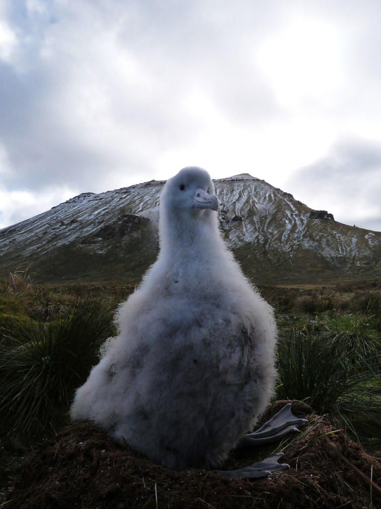 2000 Miles from Anywhere...