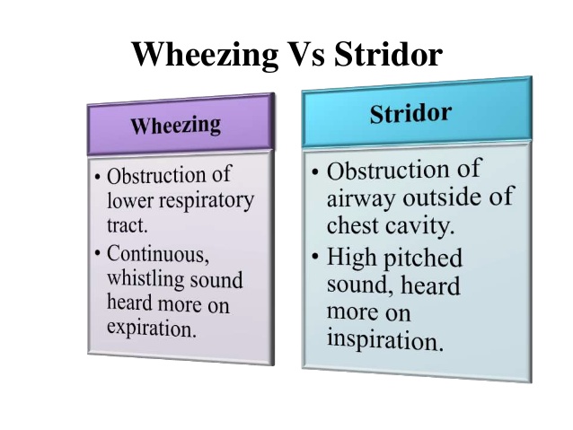 Jewels of Clinical Medicine: Wheezing Versus Stridor