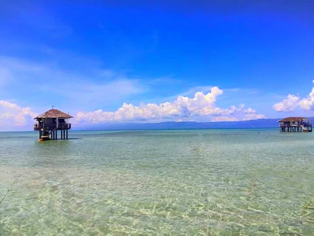 Manjuyod Sandbar | Maldives of the Philippines - The Pinoy Traveler
