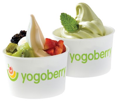 Yogoberry Palladium: O que é a Yogoberry?