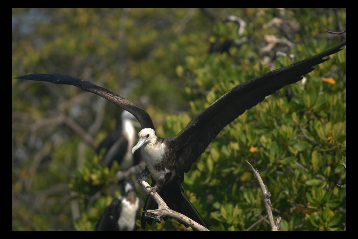 Textos y fotos: MORROCOY