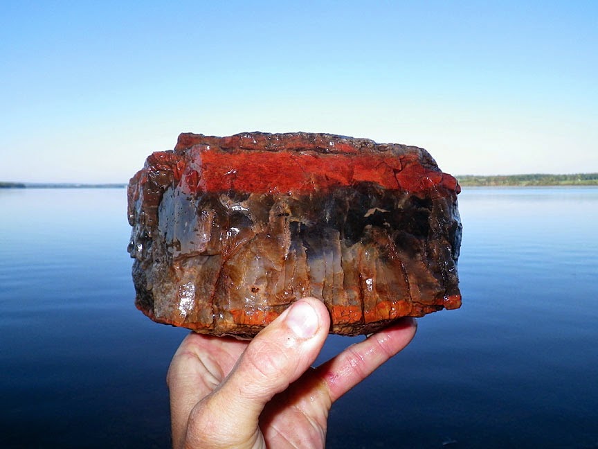 The Narrowleaf Chronicles: Are You Chertin'?