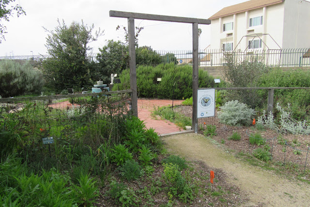 Mother Nature's Backyard - A Water-wise Garden: Current Photos of ...