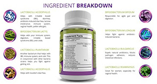 Just Potent Probiotic Supplement - Probiotic Guide Reviews