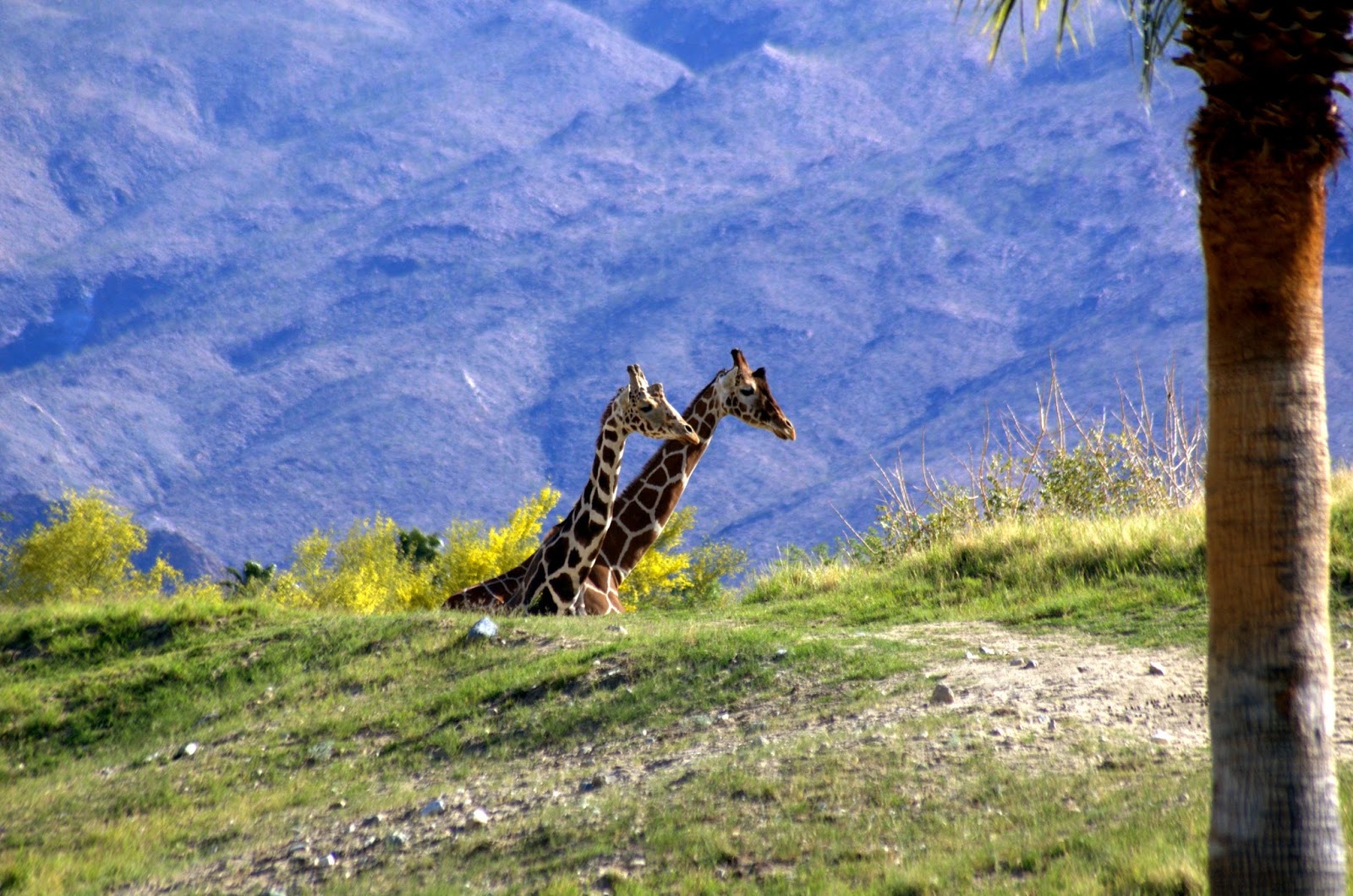 Junkel Retired and Loving It: Zoo Hike and Brown Out