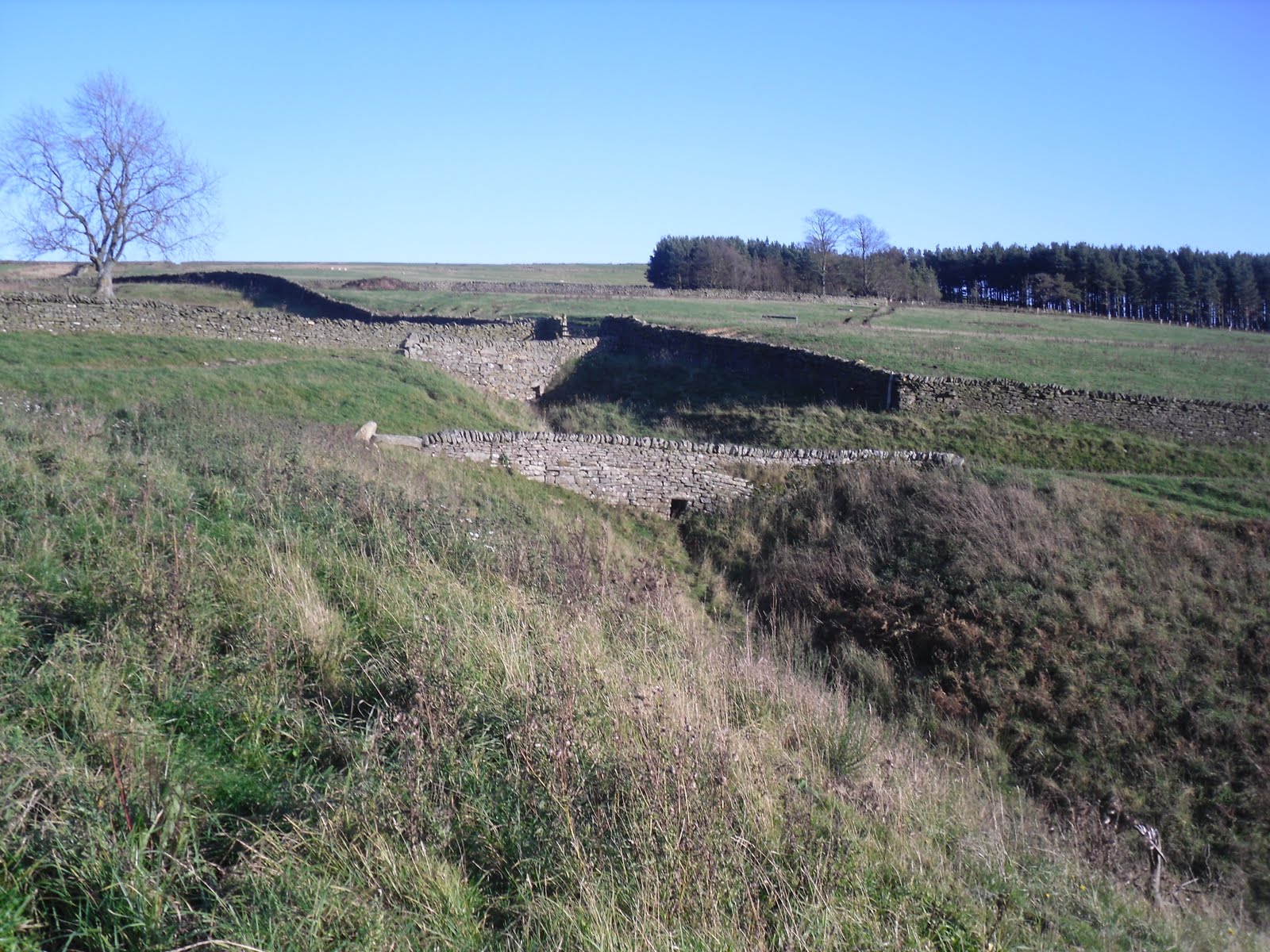 Rambling Nana: Wolsingham, Tunstall Reservoir Circular