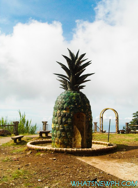 Tagaytay-Taal Volcano ~ What's New Philippines?
