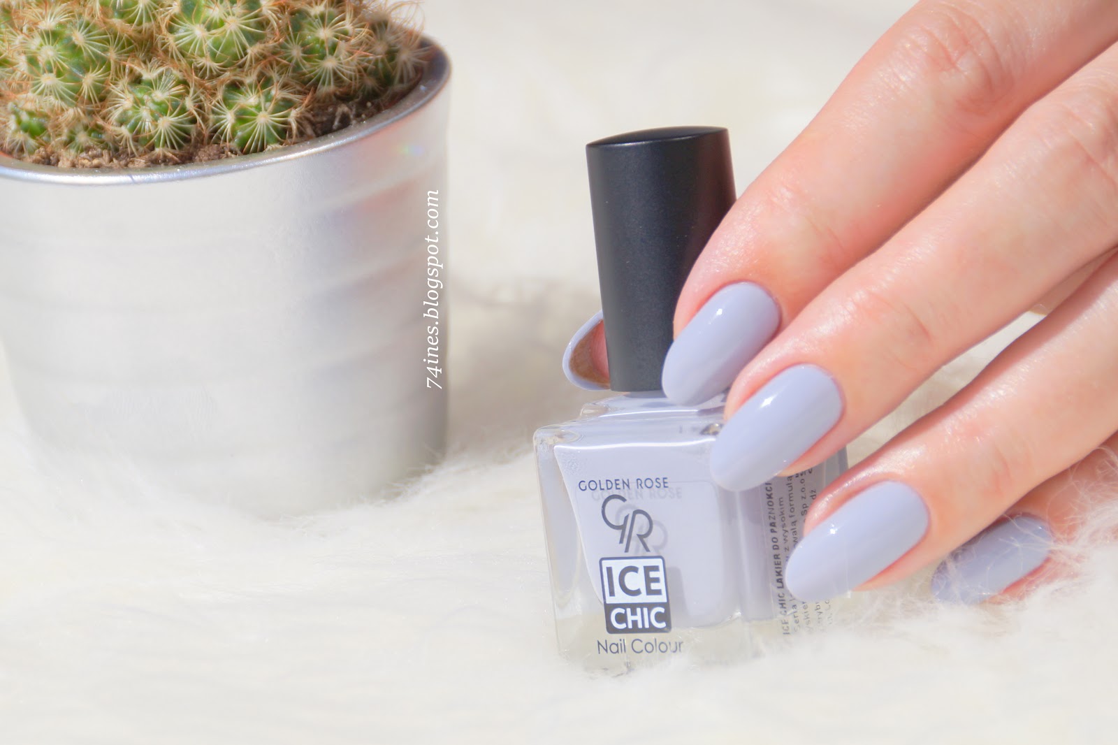 Golden Rose Ice Chic 97 | 74ines