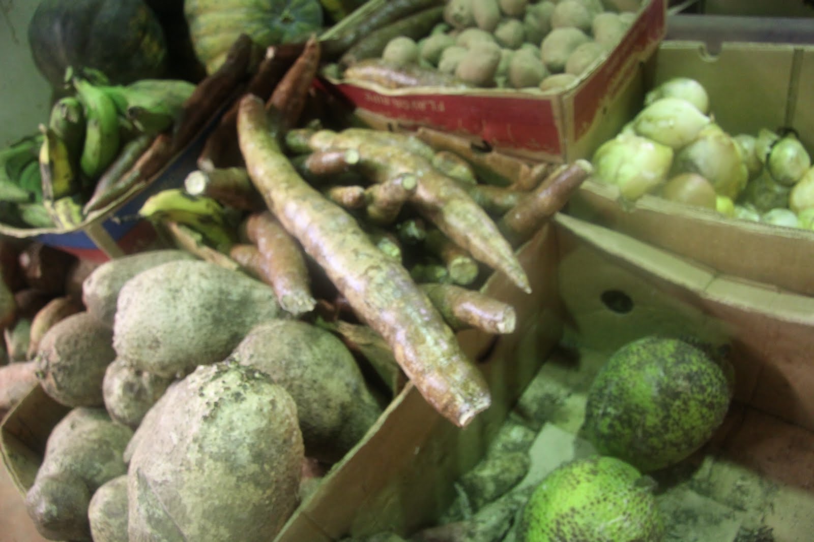 Yakni Achukma (The Good Land): Puerto Rican Fruits