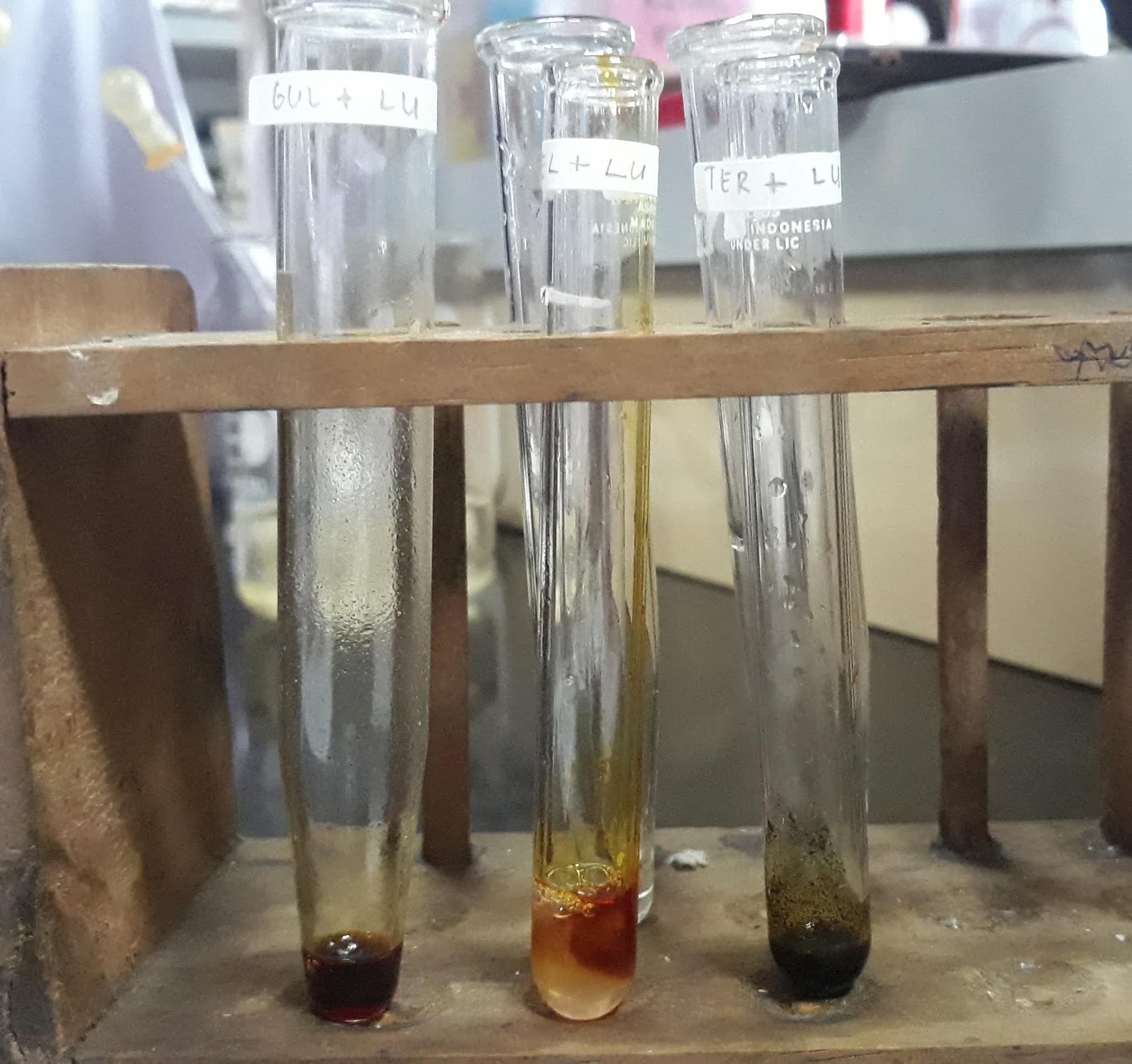 Praktikum Biokimia Uji Zat Makanan