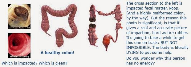 Adventures with Food