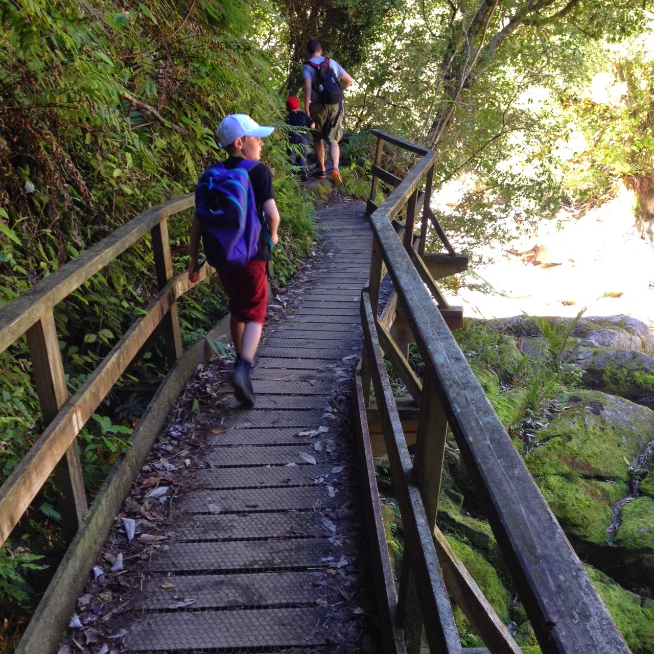 Golden Bay Delights {Pupu Springs, Labryinth Rocks, Dolphins and Wainui ...