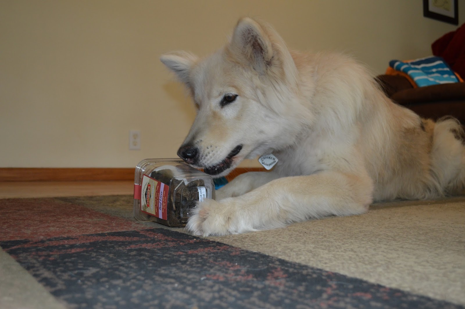 My Rotten Dogs: Evanger's Beef Liver Treats