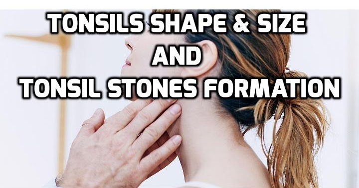 How To Have a Healthy Life: What is the Link between Size and Shape of ...