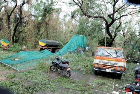 Pondicherry after Thane cyclone ~ Pondicherry Tourism - Pondicherry ...