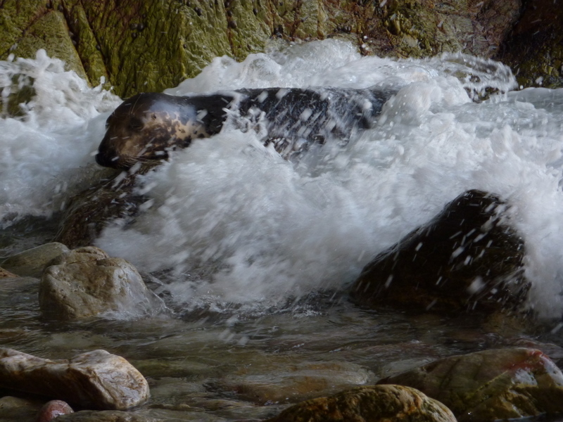 Stevie Haston: The best cliff : GOGARTH, by Stevie Haston