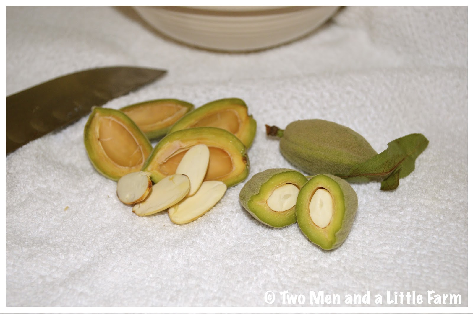Two Men and a Little Farm: GREEN ALMONDS