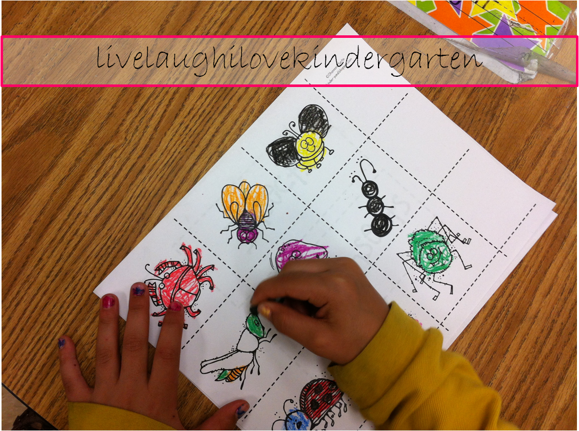 Insect Sort | Live, Laugh, I LOVE Kindergarten