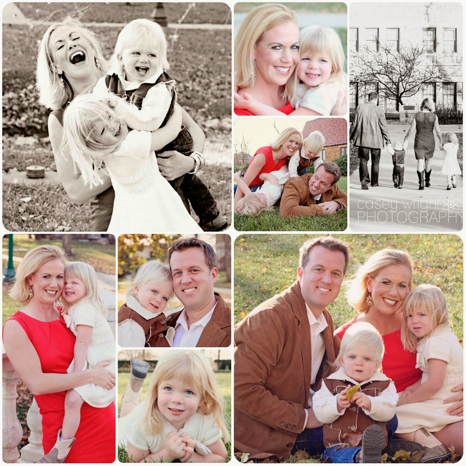 creativecasey: Spikes Family: an evolution ~ Casey Wright Photography